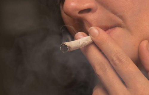 The Effects of Marijuana on the Body - Fit People