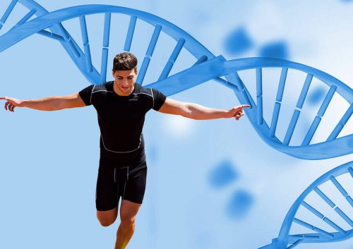 Training and Supplementation According to Genetics - Fit People